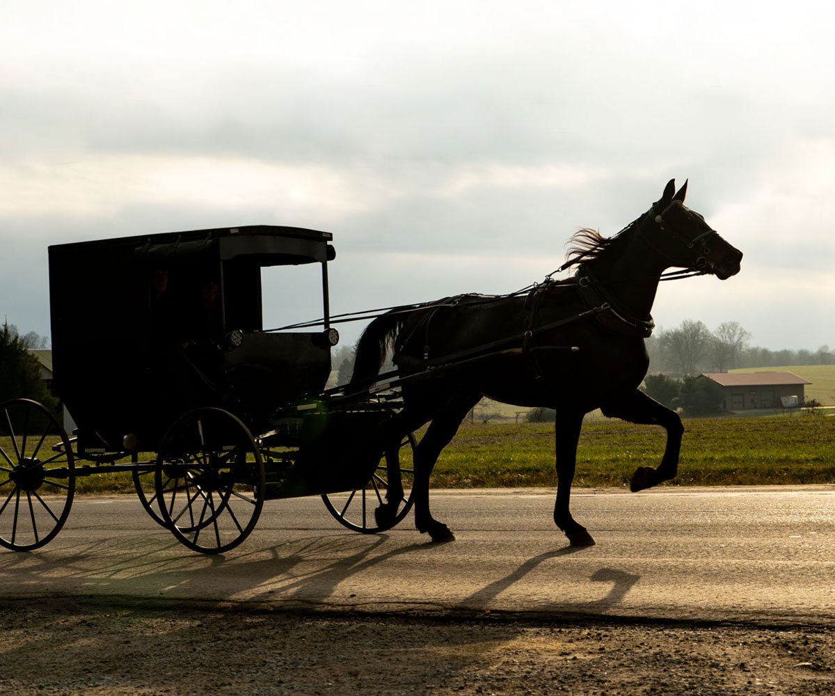 Discover Amish Originals | Farmville, Virginia